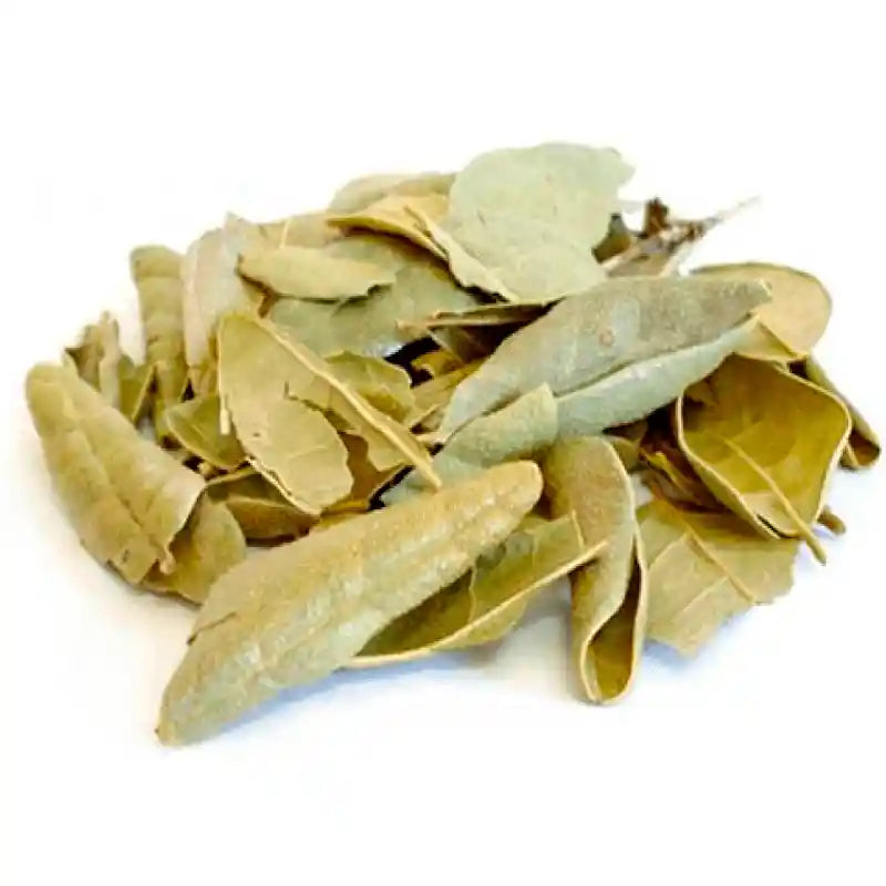 Boldo Rama Bolsa X 10 Gr Inali