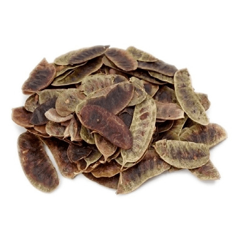 Acacia Indu X 20 Gr Inali