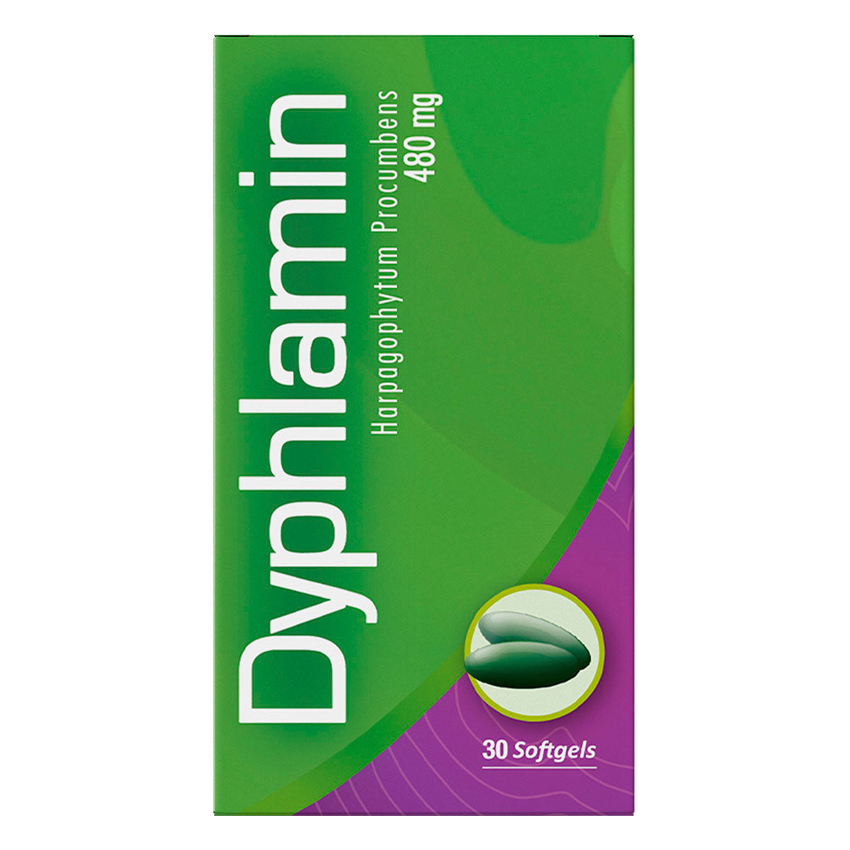 Dyphlamin 480mg (Standardized Harpagophytum to 5% of Harpagoside)